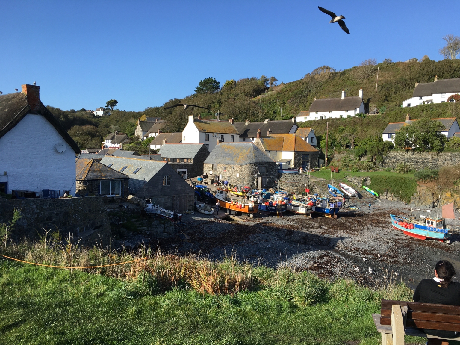 Unique and Private Guided Sightseeing Tours of Cornwall