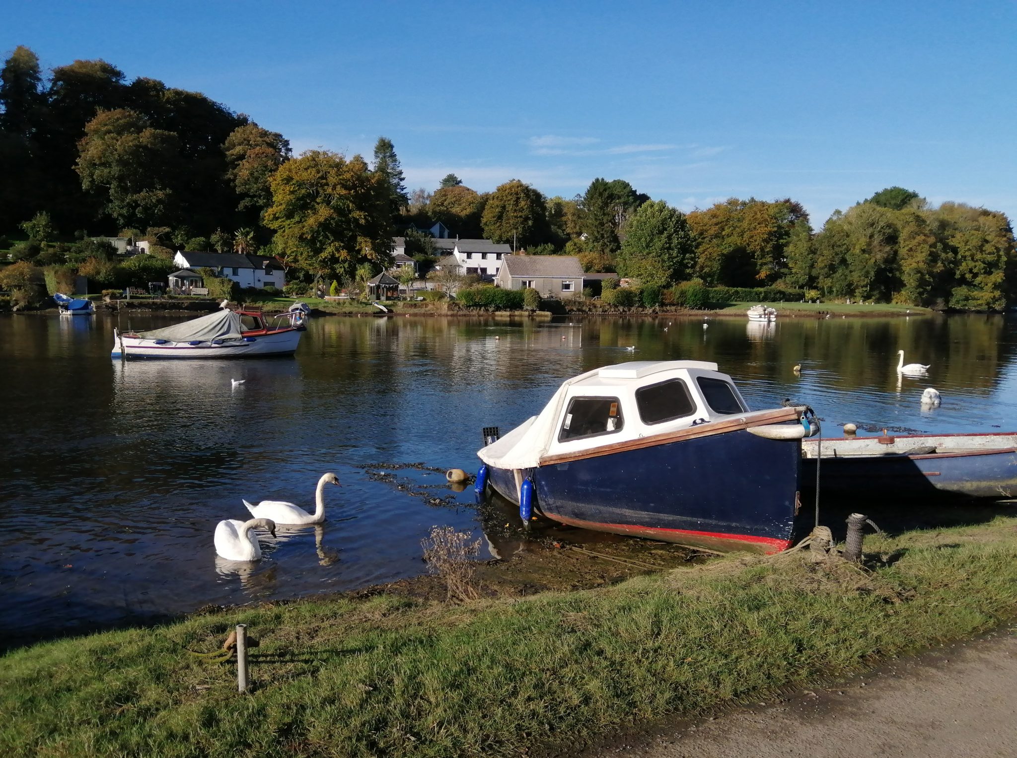 Exploring Lerryn, the Picturesque Village in South Cornwall