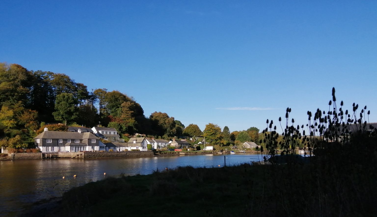 Exploring Lerryn, the Picturesque Village in South Cornwall